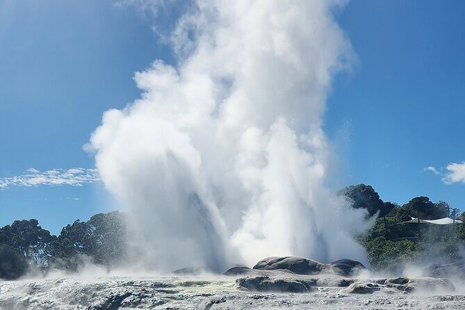 Auckland : Hobbiton & Te puia & red wood forest Private Tour - Key Points