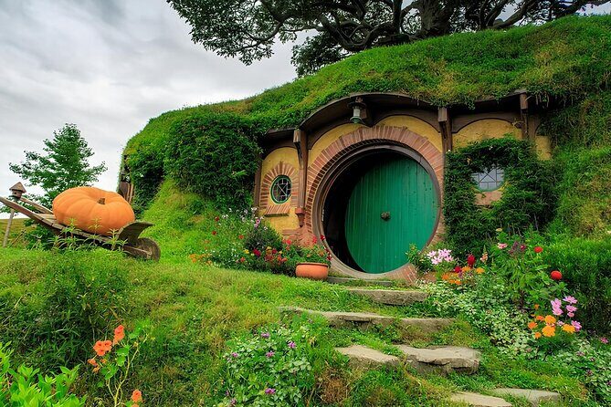 Auckland : Hobbiton & Te puia & red wood forest Private Tour - Final Thoughts