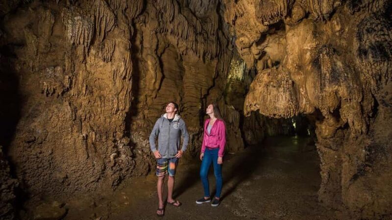 Auckland: Hobbiton, Waitomo Caves, and Rotorua 1-Way Tour - The Sum Up: Why Choose This Tour?