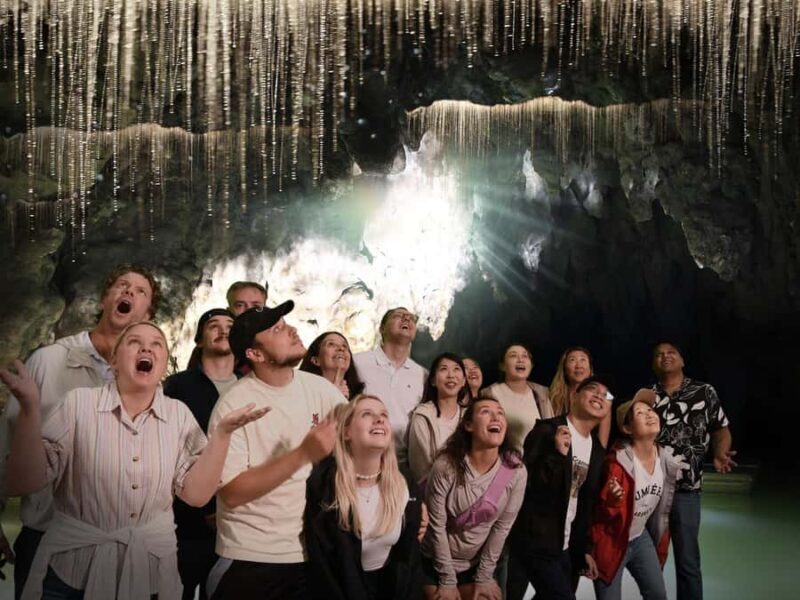 Auckland: Hobbiton & Waitomo Caves Small-Group Tour & Lunch - Comfortable Return and Final Thoughts