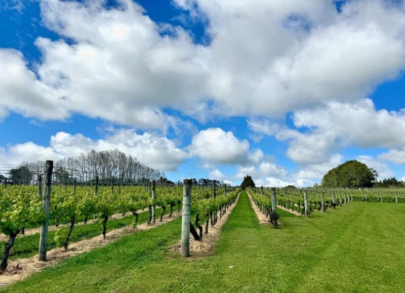 Auckland: Kumeu Wine Tasting Tour and Black Sand Beach - The Itinerary Breakdown