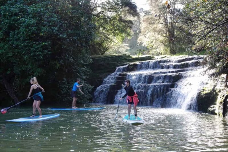 Auckland: Lucas Creek Waterfall SuP Tour - Key Points