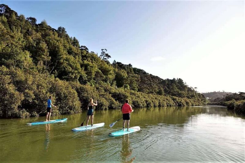 Auckland: Lucas Creek Waterfall SuP Tour - Why This Tour Is Special