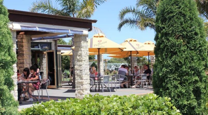 Auckland: Luxury Kumeu Wine Tour with Gourmet Lunch - Who Should Consider This Tour?