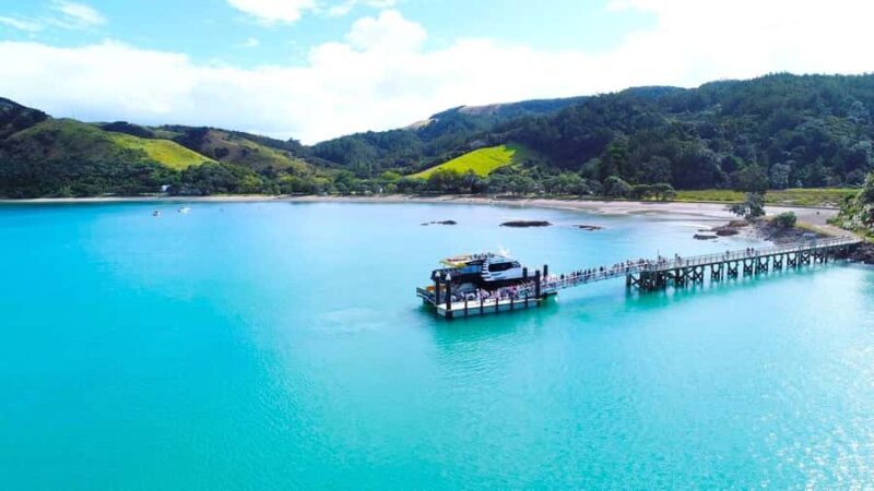 Auckland: Man O' War Vineyard Ferry (Waiheke Island) - Authentic Insights from Reviews