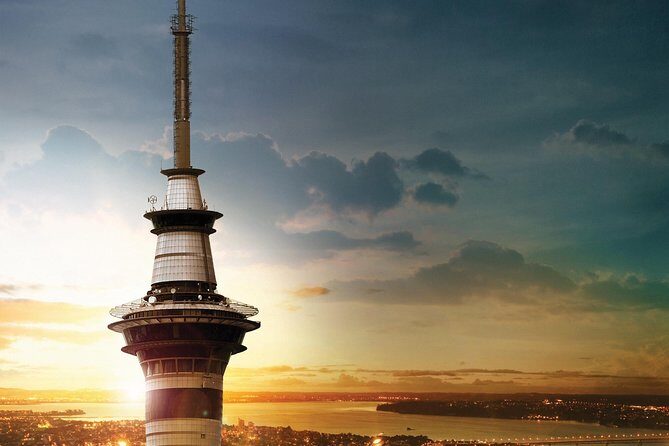 Auckland Mori Culture Experience - Private Tour - The Sum Up