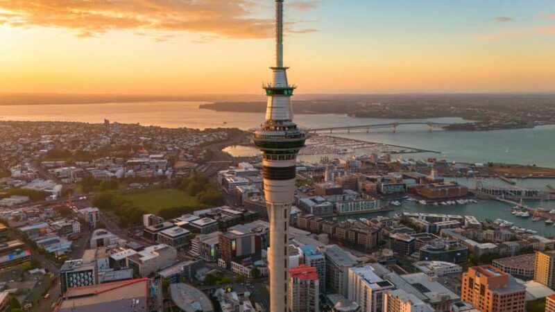 Auckland Museum and Highlight Sightseeing Tour - Key Points