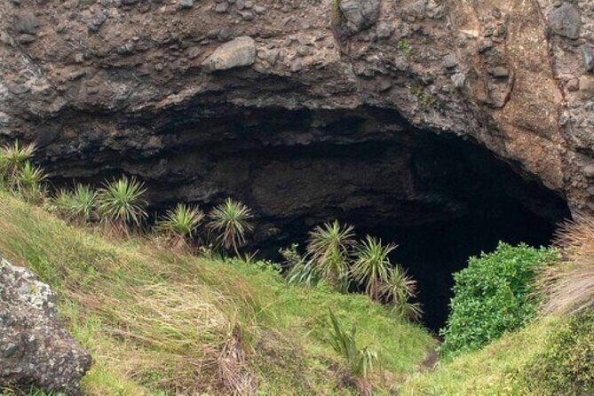 Auckland Natural Caves and Tunnels Private VIP Tour - Authentic Traveler Insights