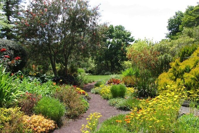 Auckland Nature Tour - The Sum Up