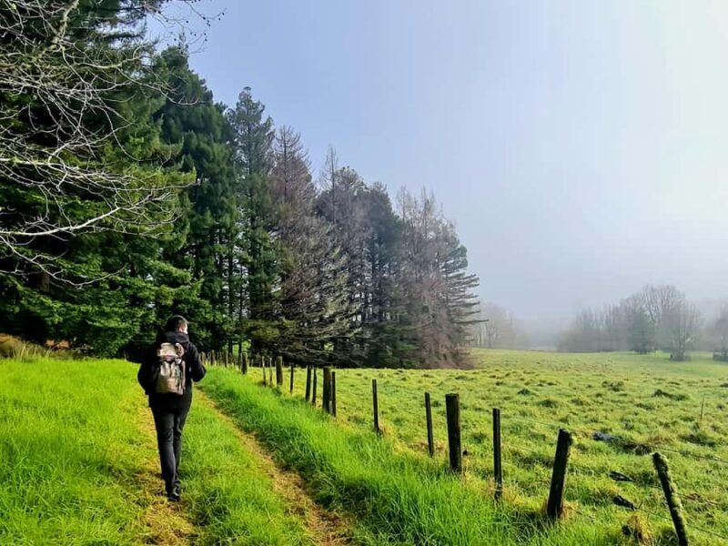 Auckland Nature Tour - Authentic Experiences and Reviewer Insights