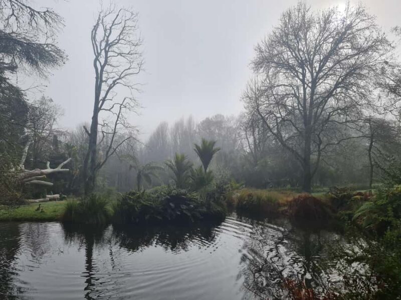 Auckland Nature Tour - Who Will Love This Tour?