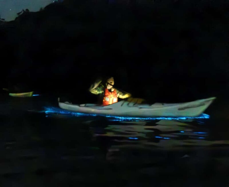 Auckland: Night Kayak Tour in Glowing Bioluminescent Waters - The Guides and Their Role in Enhancing Your Experience