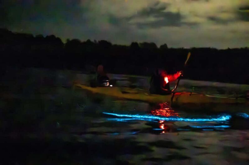 Auckland: Night Kayak Tour in Glowing Bioluminescent Waters - FAQ