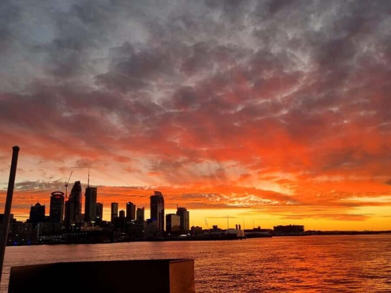 Auckland: Nightlights Harbour Cruise with Canapés and Drink - Authentic Reviews: What Travelers Say