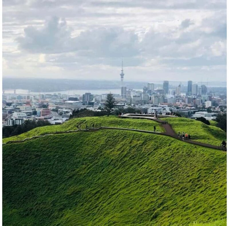 Auckland: Piha Beach, Rainforest, & Mount Eden Private Tour - Introduction to the Tour Experience