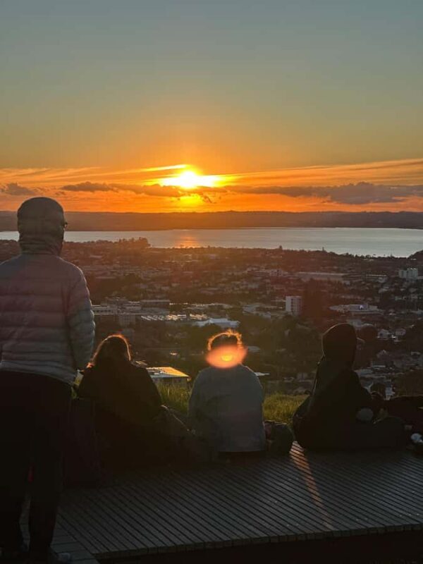 Auckland: Piha Beach, Rainforest, & Mount Eden Private Tour - The Sum Up: Who Will Love This Tour?