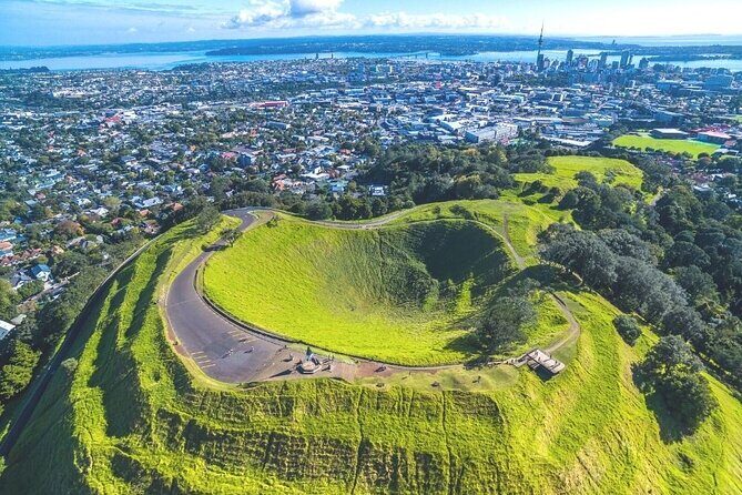Auckland Private City Tour. Cruise port or Hotel pick up. - An In-Depth Look at the Auckland Private City Tour  
