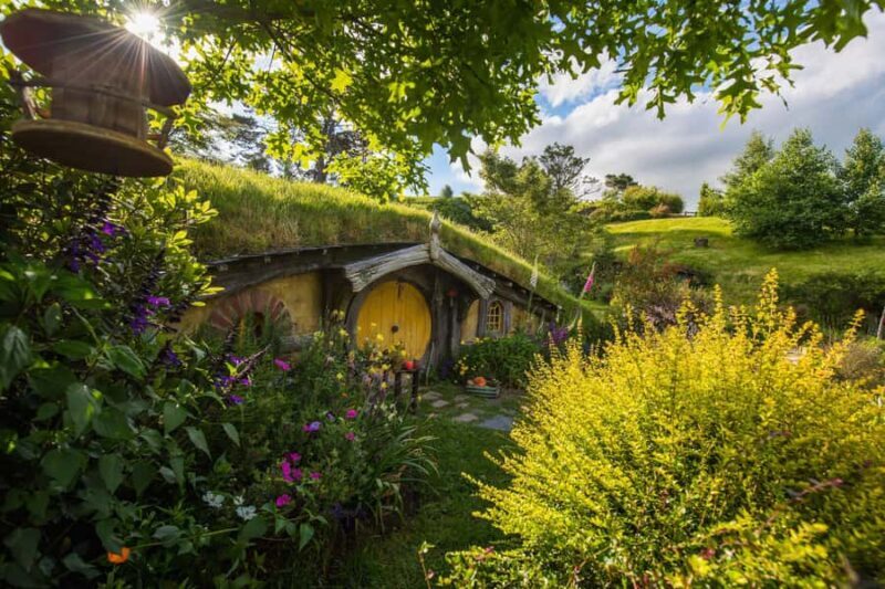 Auckland: Private Hobbiton Movie Set & Waitomo Caves Tour - What Makes This Tour Stand Out?
