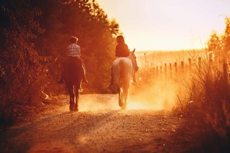 Auckland: Private Horseback Ride + Lunch + Wine + Pick up - Authentic Insights from Reviews