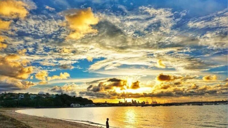 Auckland: Private Sightseeing Full or Half Day Guided Tour - Key Points