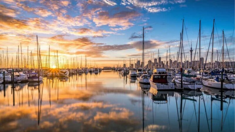 Auckland: Private Sightseeing Full or Half Day Guided Tour - Authentic Insights from Reviews