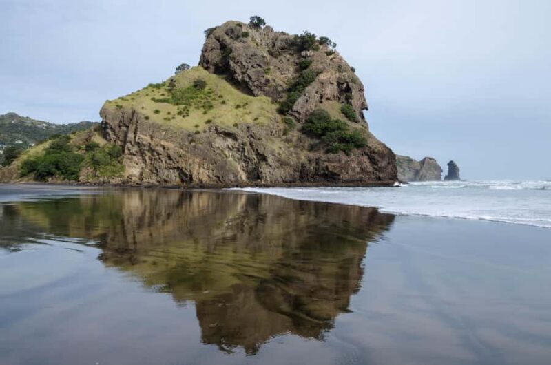 Auckland Private Tour: West Coast Wilderness & Piha Beach - Exploring Auckland’s West Coast Wilderness & Piha Beach: A Detailed Review