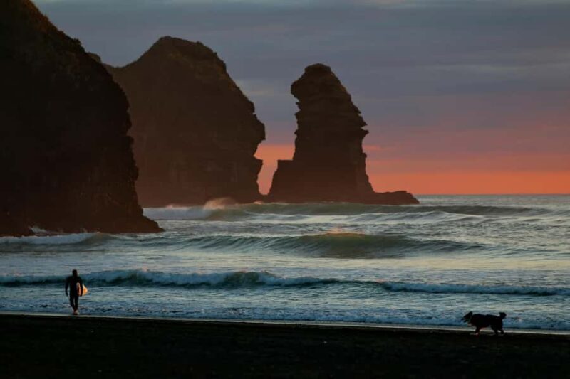 Auckland Private Tour: West Coast Wilderness & Piha Beach - Key Points