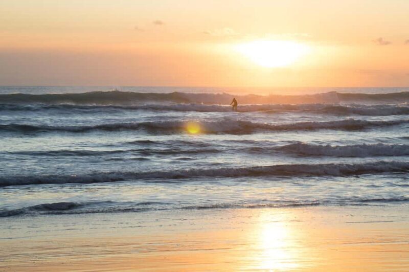 Auckland Private Tour: West Coast Wilderness & Piha Beach - The Sum Up