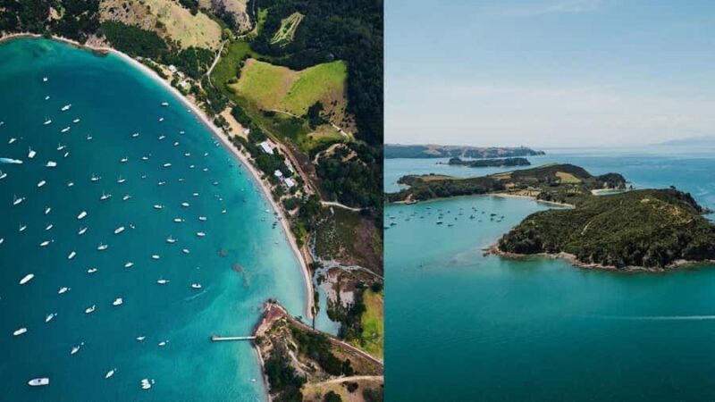 Auckland: Rotoroa Island and Man O'War Vineyard Combo Tour - Practical Details and Tips