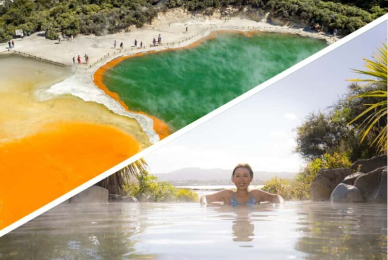 Auckland: Rotorua Highlights inc Wai-O-Tapu & Polynesian Spa - Key Points
