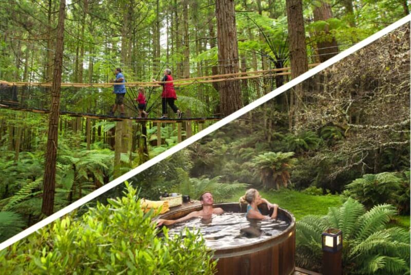Auckland: Rotorua Highlights w Redwoods Treewalk & Hot Tubs - Practical Considerations