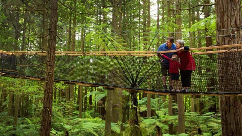 Auckland: Rotorua Highlights w Redwoods Treewalk & Hot Tubs - FAQ