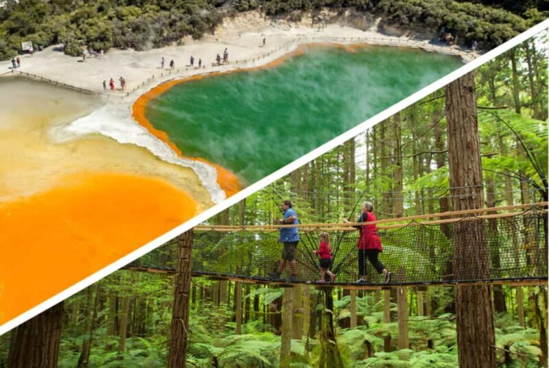 Auckland: Rotorua Highlights w WaiOTapu & Redwoods Treewalk - Who Should Consider This Tour?