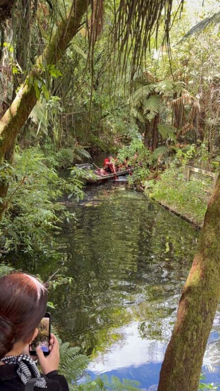 Auckland: Rotorua Mitai Mori Village & Wai-O-Tapu Tour - Auckland: Rotorua Mitai Mori Village & Wai-O-Tapu Tour — A Complete Day of Culture, Nature, and Geothermal Marvels