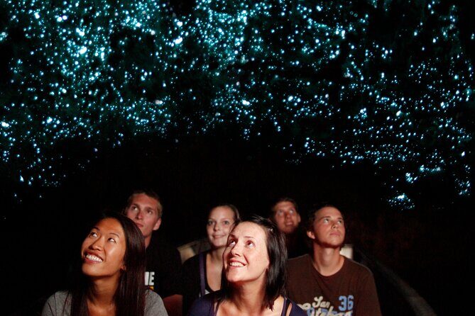 Auckland: Rotorua Mori Village, Waitomo Caves & Lunch - Transportation and Group Size