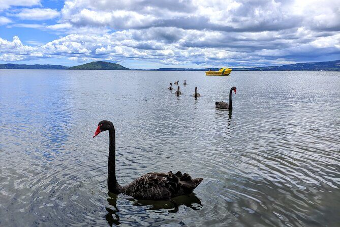 Auckland: Rotorua, Taupo, Waiotapu & Huka Falls Private Trip - The Experience Guides and Reviews