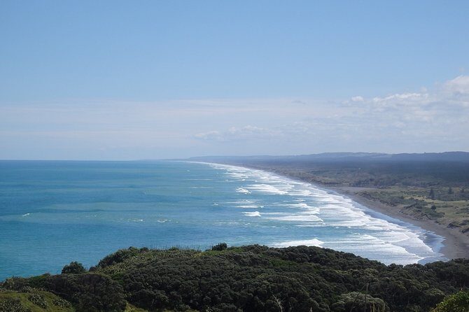 Auckland Scenic Day Tour Full-Day- 8 HOURS - What to Expect During the Tour