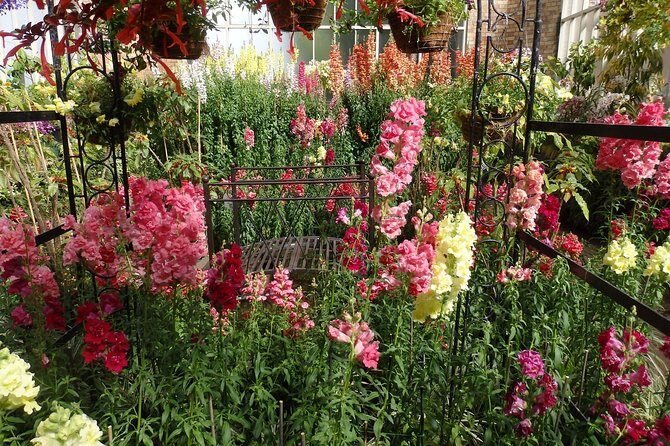 Auckland Scenic Day Tour Full-Day- 8 HOURS - The Sum Up