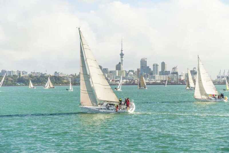 Auckland Scenic Half-Day City Sightseeing Tour - Key Points