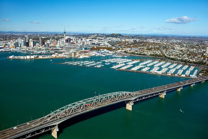 Auckland Shore Excursion: Half-Day Guided City Tour - An In-Depth Look at the Tour Experience