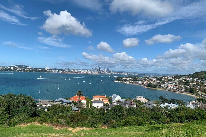 Auckland Sightseeing Half Day Tour - What the Tour Includes and What You Might Need to Bring