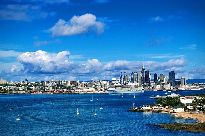 Auckland Sightseeing Half Day Tour - Possible Drawbacks or Considerations
