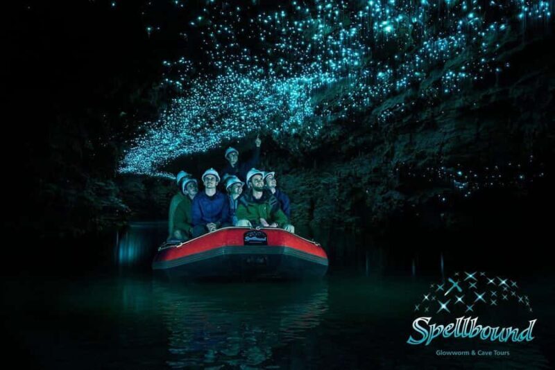 Auckland: Spellbound Glowworm Caves Explorer Tour - Practical Tips for Travelers