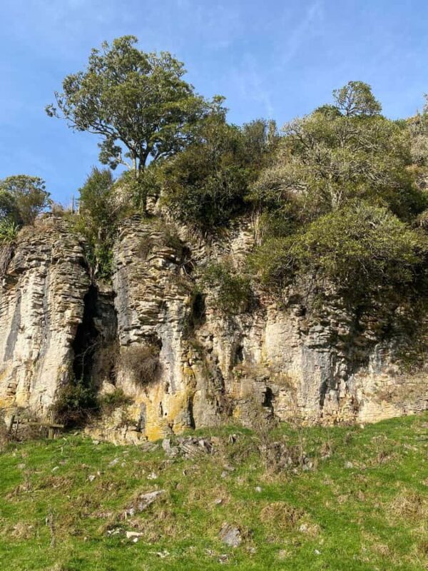 Auckland: Spellbound Glowworm Caves Explorer Tour - Who Will Love This Tour?