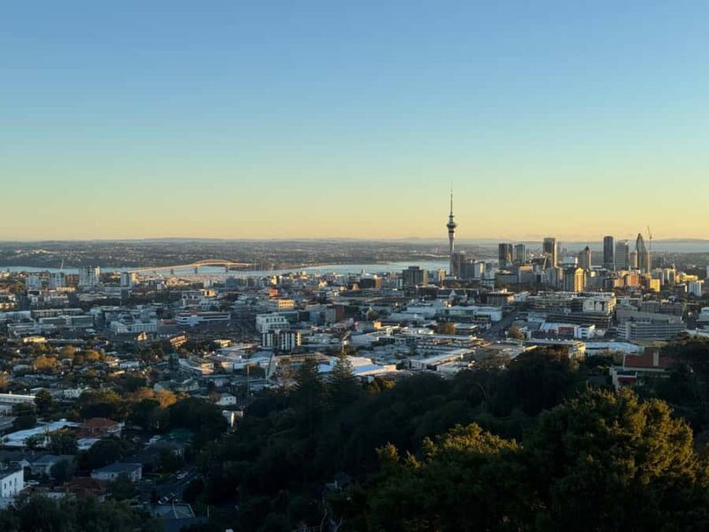 Auckland Sunrise Tour: Mount Eden Summit & Morning Views - Who Is This Tour Perfect For?