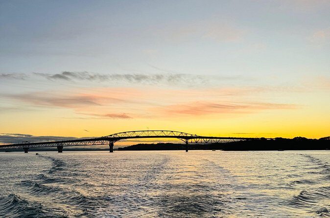Auckland Sunset Harbour Cruise - Final Thoughts: Who Is This Cruise Perfect For?