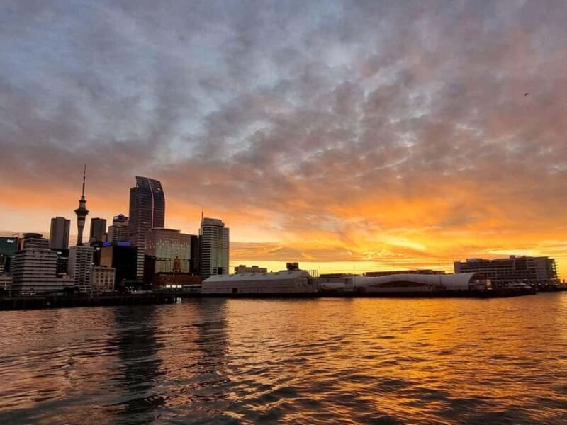 Auckland Sunset Harbour Cruise - Why This Cruise Could Be a Great Choice