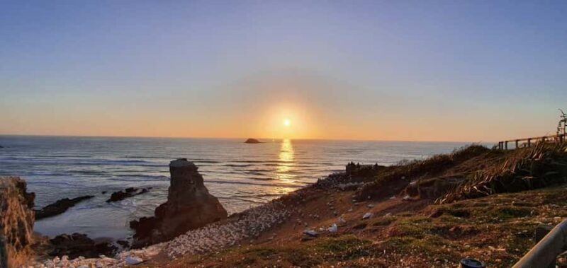 Auckland: Sunset Tour with Thermal pool & Wine Tasting - Introduction