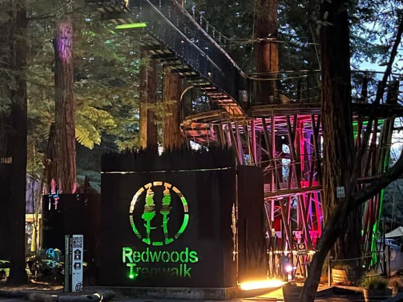 Auckland: TE PUIA Rotorua, Redwood & Blue Springs Day Tour - Rotorua Highlights: Redwood Forest and Blue Springs