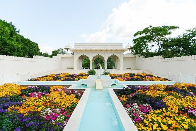 Auckland to Paihia Transfers | Mercedes Sprinter (5 -15 Pax) - The Journey: What to Expect